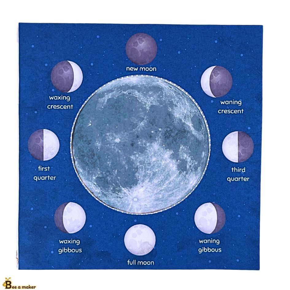 Phases of Moon Printable Science or STEM Activity - Etsy