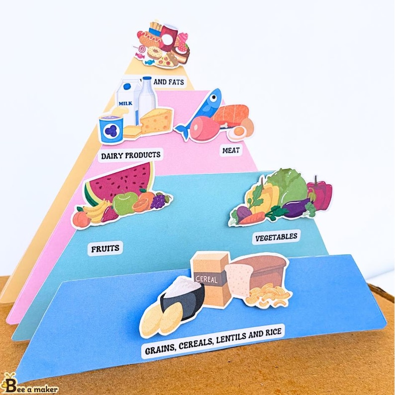 Food Pyramid Science Activity, Model or Project - Etsy