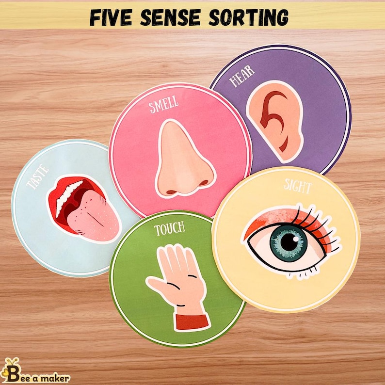 Five Sense Sorting Activity Pdf for Toddlers, Homeschool, Preschool ...