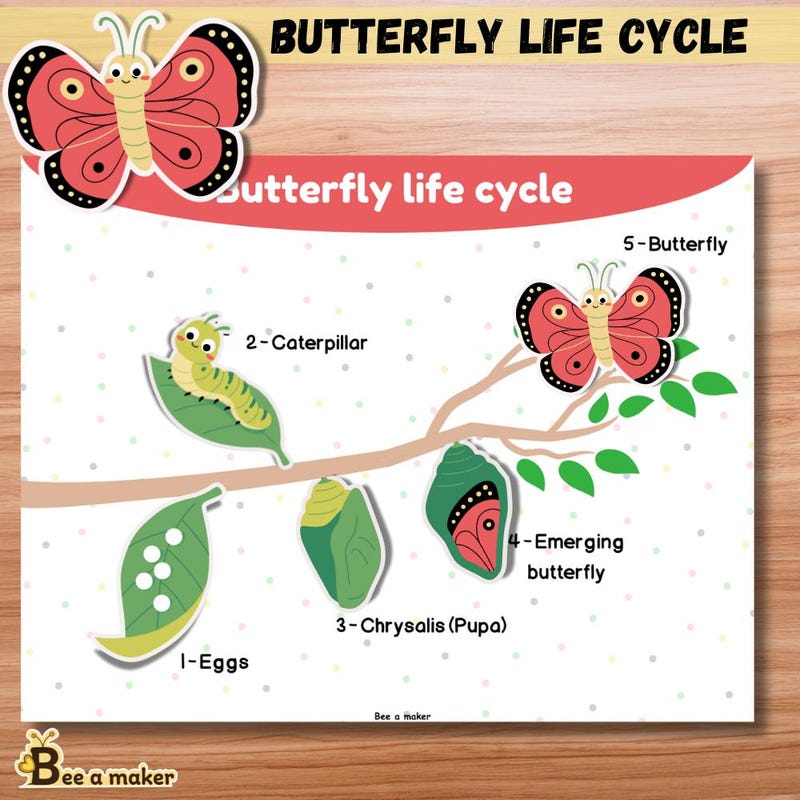 Beeamakerstore - Etsy