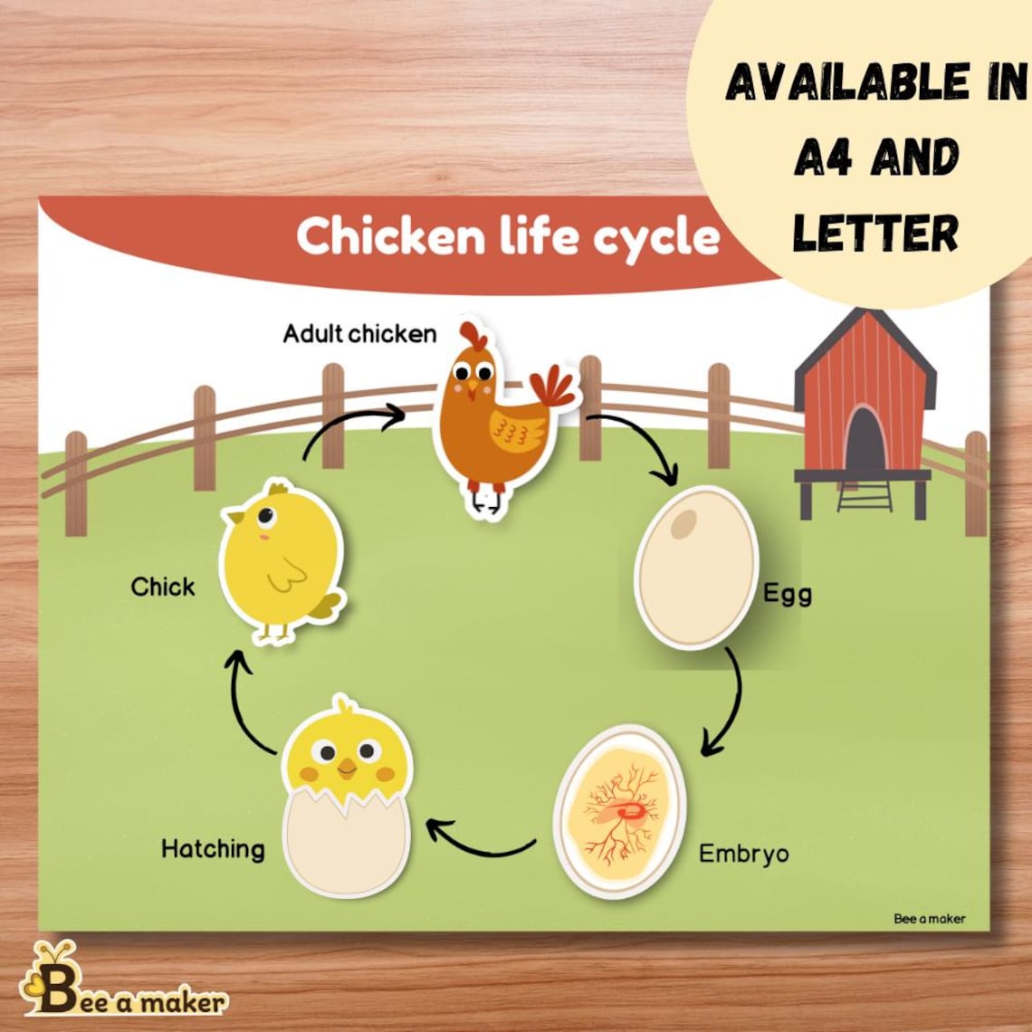 Chicken Life Cycle Busy Book Printable | A4 & Letter Size | Montessori ...