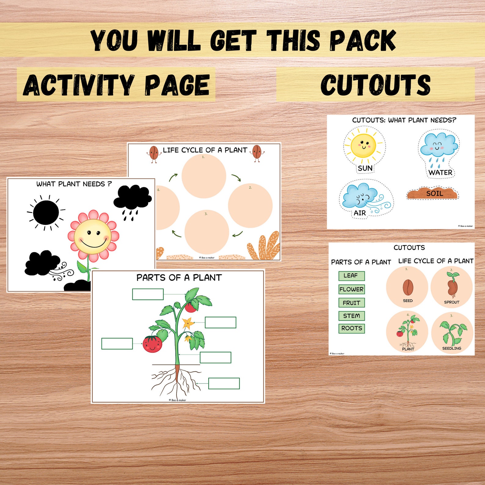 Parts of a Plant Lifecycle and Needs of Plant Unit for Kids - Etsy