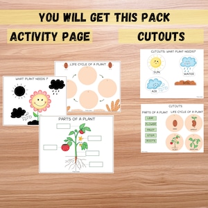 Parts of a Plant, Lifecycle and Needs of Plant Unit for Kids - Etsy