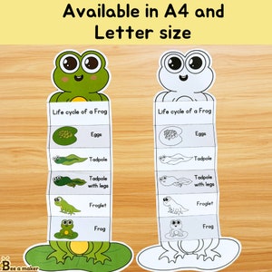 Frog Life Cycle Foldable - Etsy