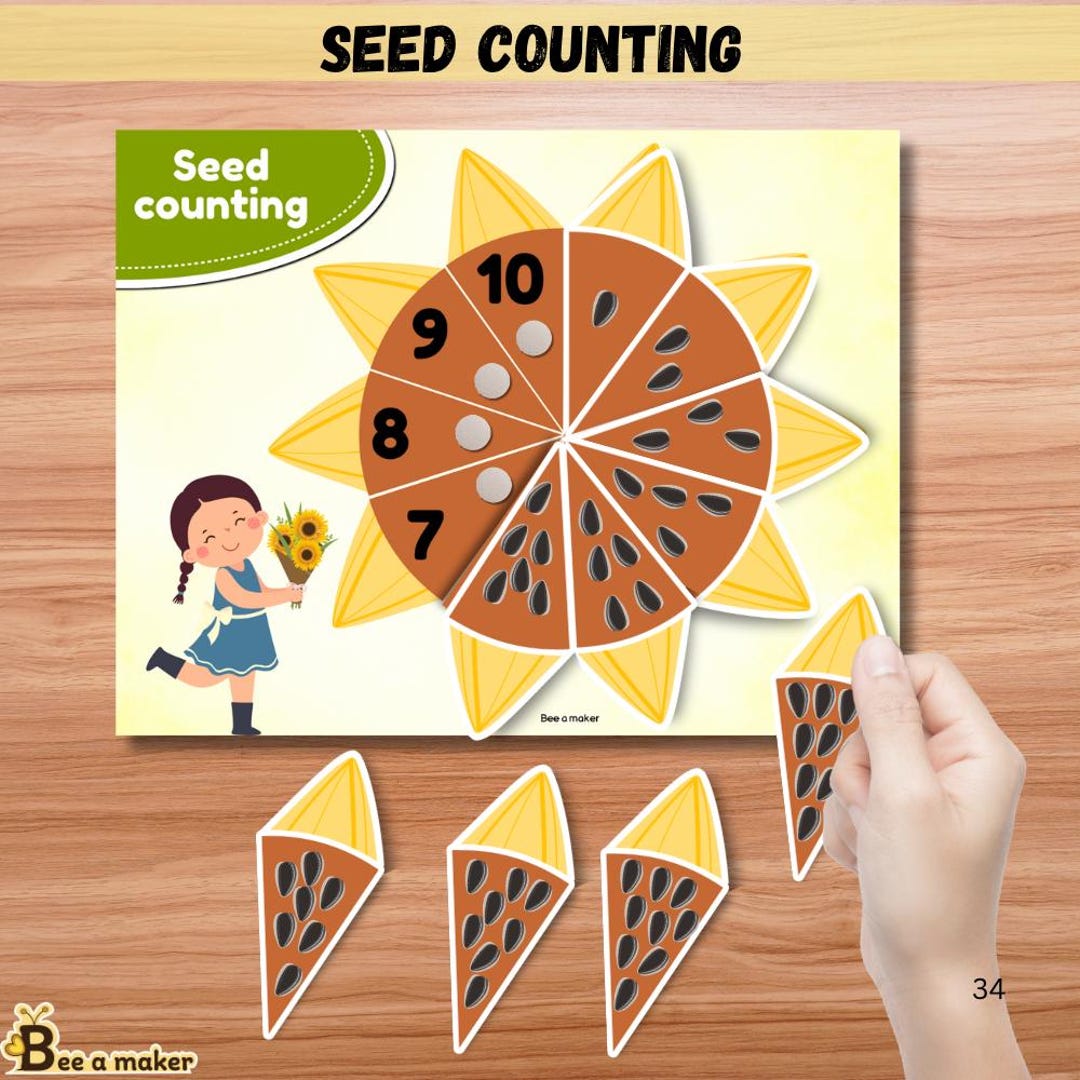 Sunflower Seed Counting Busy Book Page | Preschool Math Printable ...