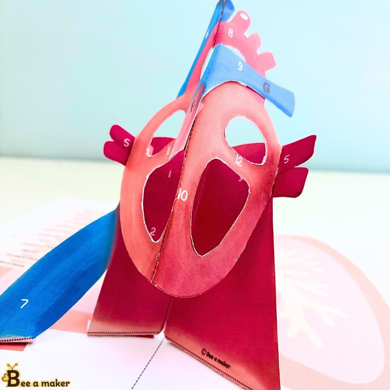 Printable 3D Pop-up Human Heart Model – DIY Educational Anatomy Craft ...