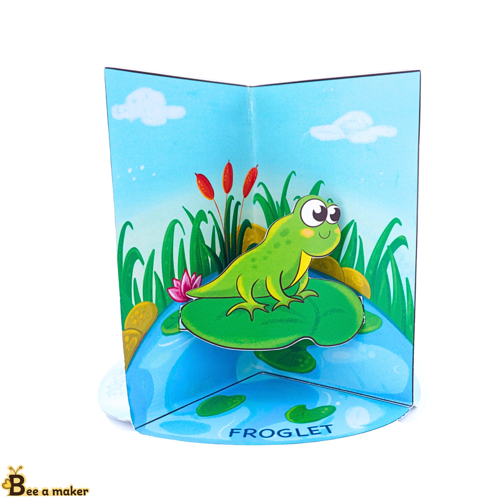 Frog Lifecycle 3D Craft DIY Printable Activity - Etsy