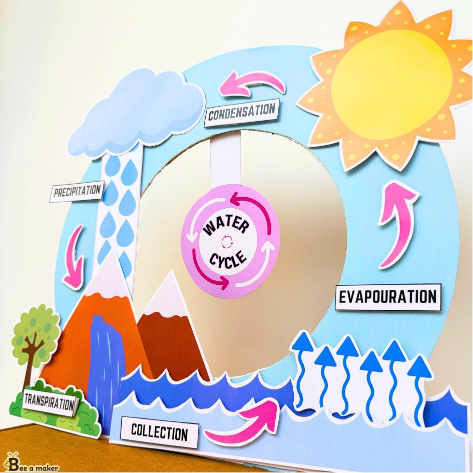 Water Cycle Model, Science Activity, STEM Activity or Project - Etsy