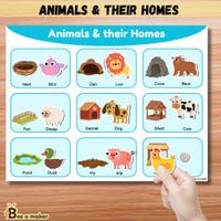 Giraffe Unit Study, Activity Pack, Homeschool Printable (PDF) - Etsy