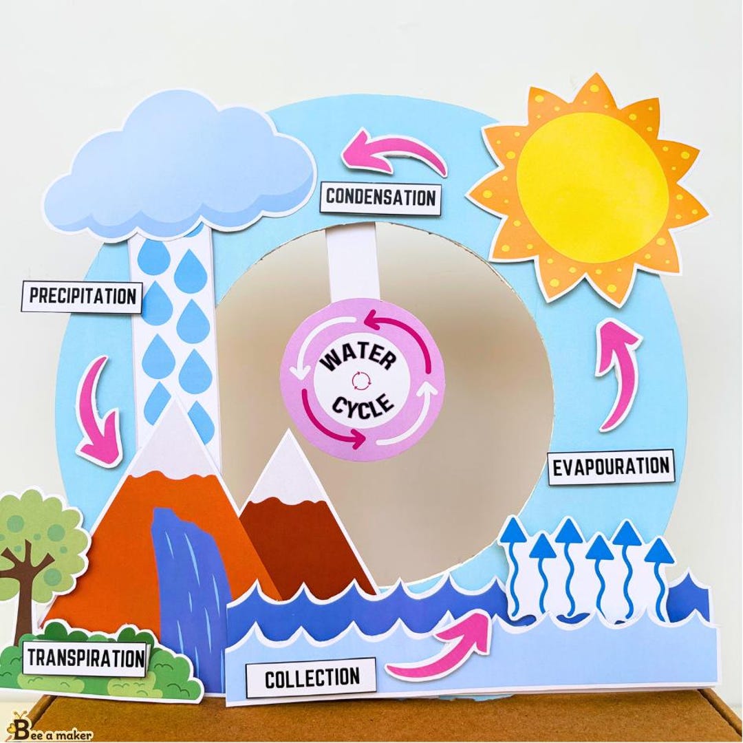 Water Cycle Model, Science Activity, STEM Activity or Project - Etsy