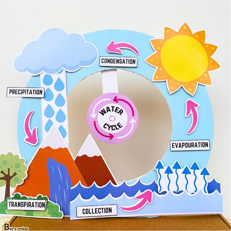 Water Cycle Model, Science Activity, STEM Activity or Project - Etsy