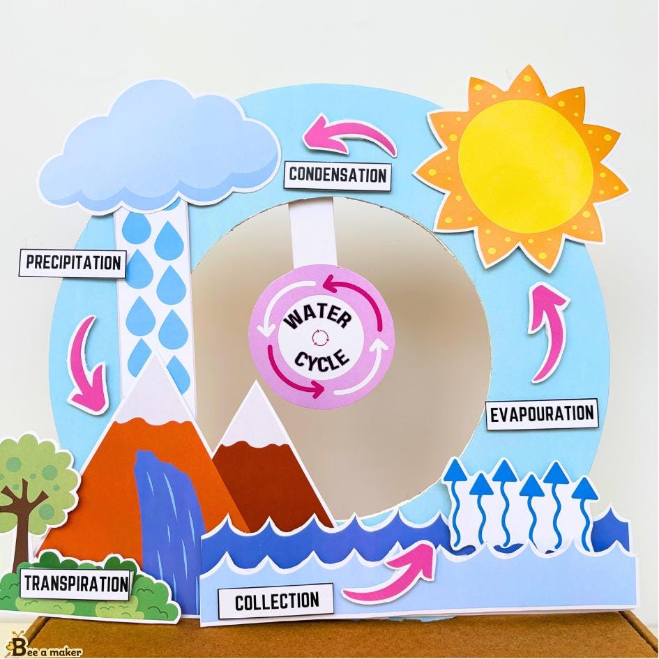 Water Cycle Model, Science Activity, STEM Activity or Project - Etsy