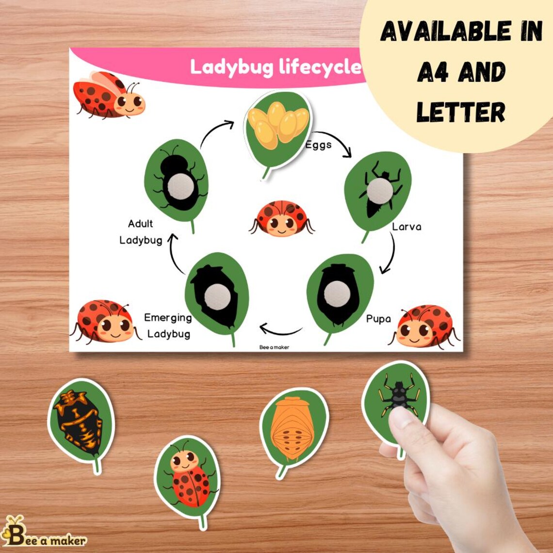 Ladybug Life Cycle Busy Book Page | Printable Activity | Montessori ...