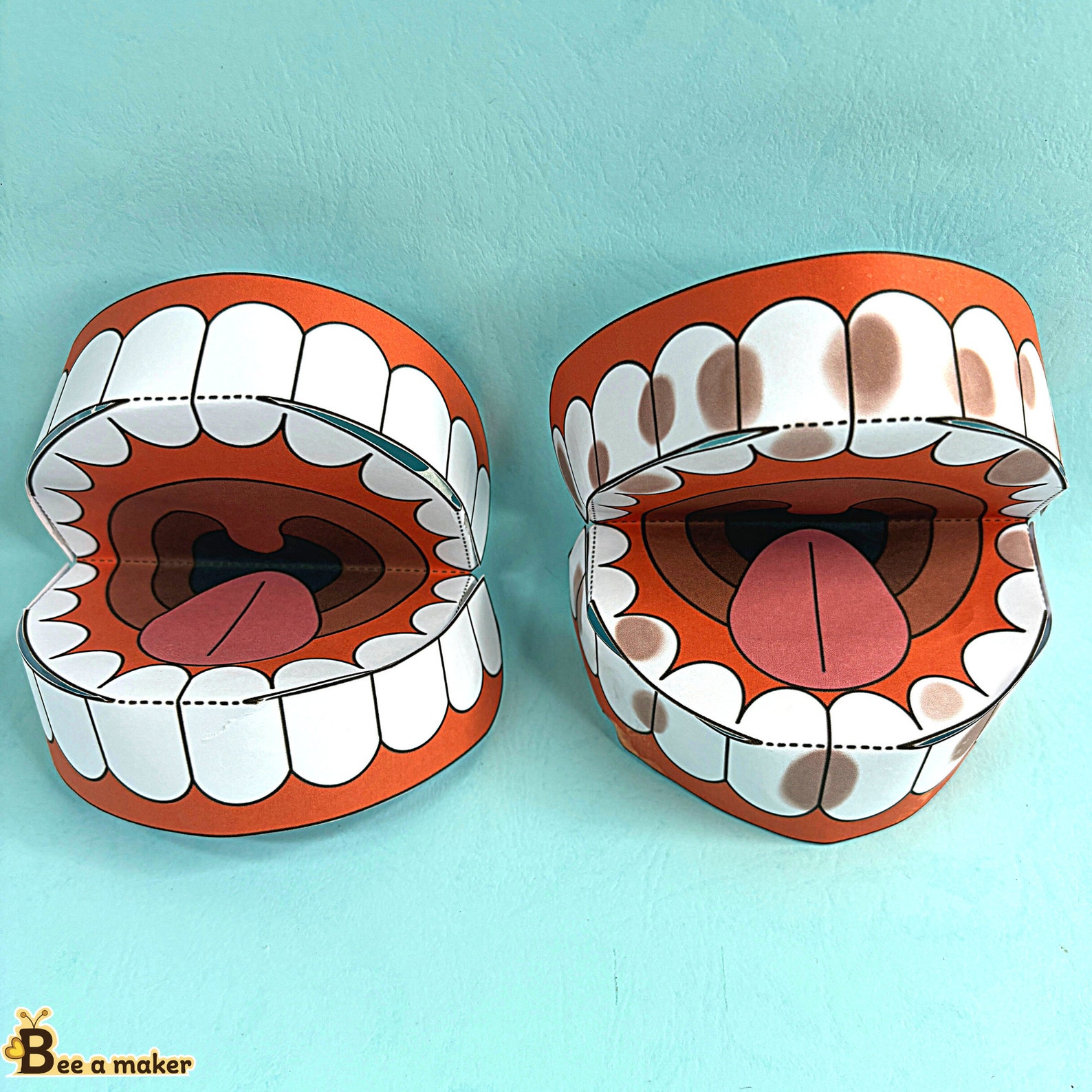 Teeth Model Activity, Sorting Healthy and Unhealthy Food, Interactive ...