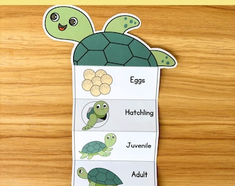 Turtle Life Cycle, Preschool Printables, Busy Binder, Kindergarten ...