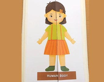 Human Body Systems Flipbook for Primary Grades - Etsy