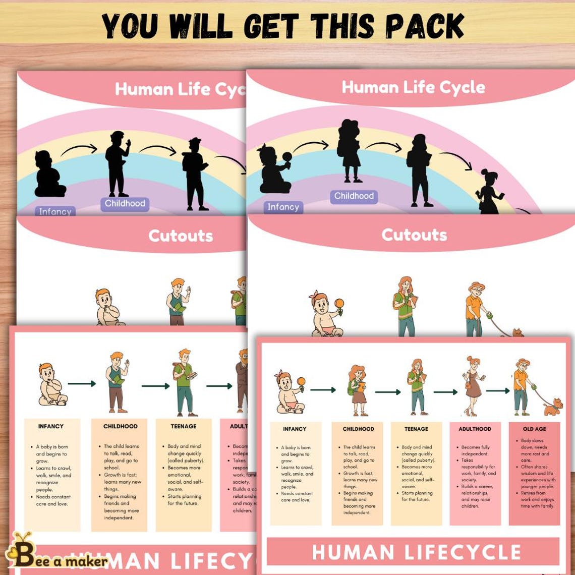 Human Life Cycle Activity Pack | Montessori Science Printable | Stages ...