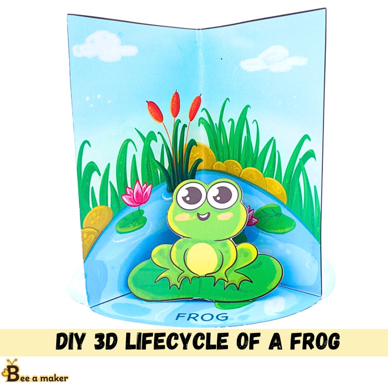 Frog Lifecycle 3D Craft DIY Printable Activity - Etsy
