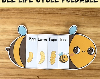 Bee Life Cycle Learning Activity for Kids | Foldable Craft Activity ...