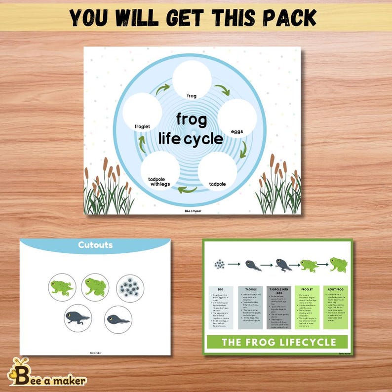 Frog Life Cycle Activity | Montessori Science Printable | Preschool ...