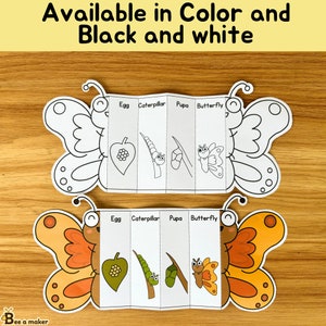 Butterfly Life Cycle Foldable - Etsy