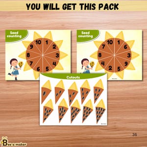 Sunflower Seed Counting Busy Book Page | Preschool Math Printable ...