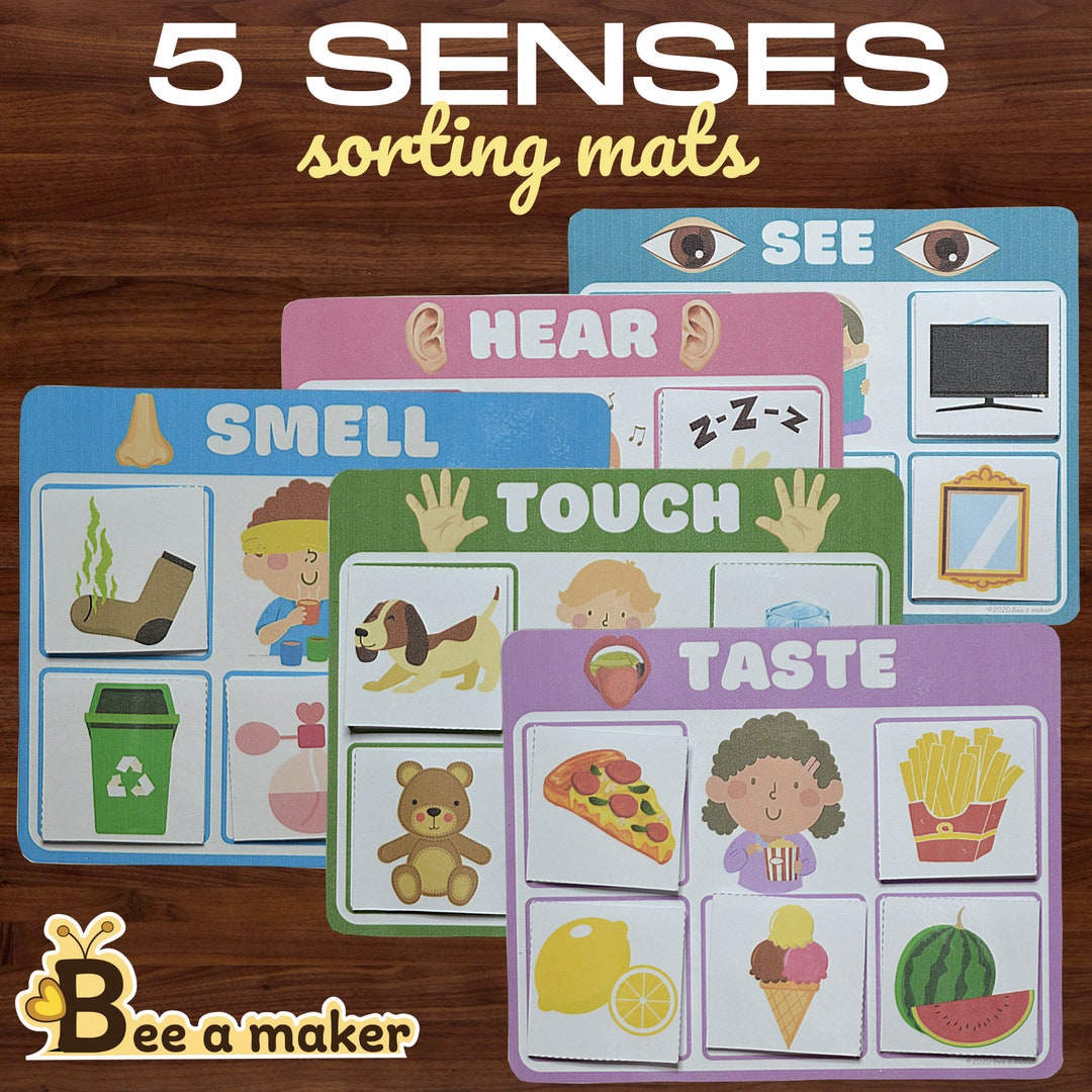 Five Sense Sorting Mats Activity - Etsy
