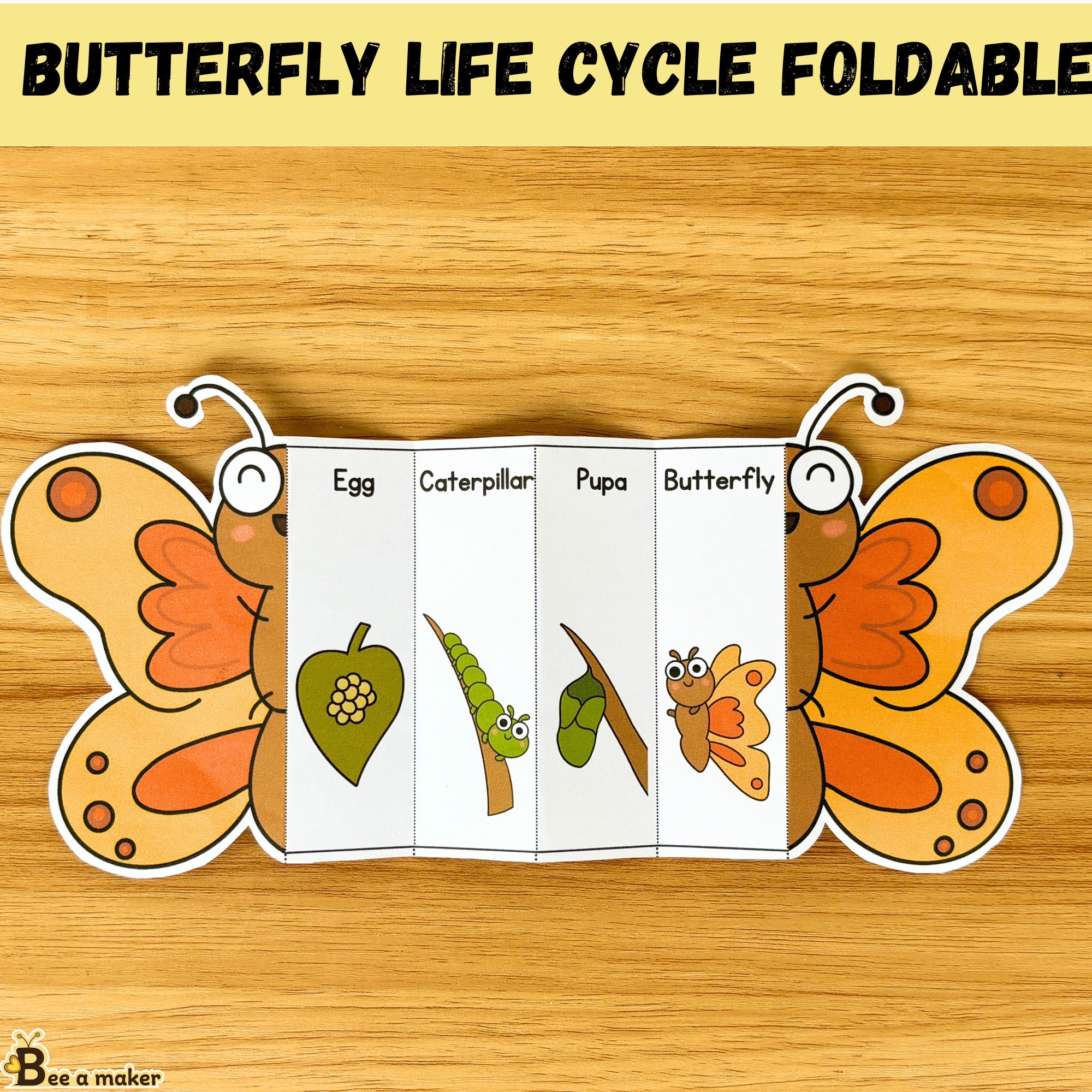 Butterfly Life Cycle Foldable - Etsy