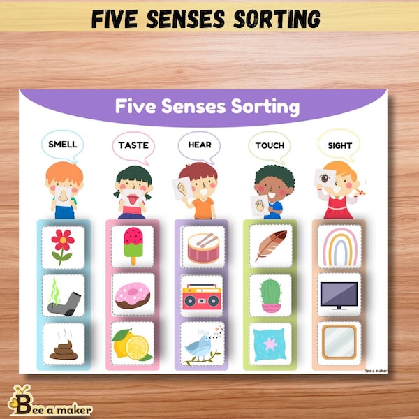 Five Senses Preschool - Etsy