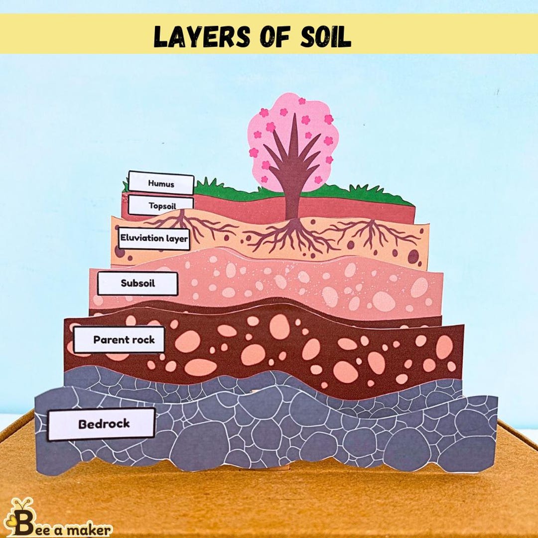 Layers of Soil Pdf, Science Activity - Etsy