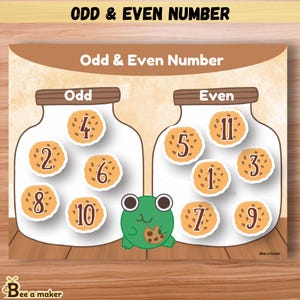 Odd/even Number Activity - Etsy