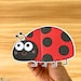 Ladybug Life Cycle Foldable - Etsy