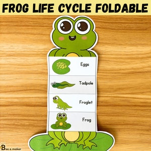 Frog Life Cycle Foldable - Etsy