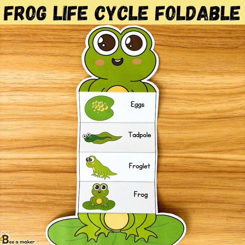 Frog Life Cycle Foldable - Etsy