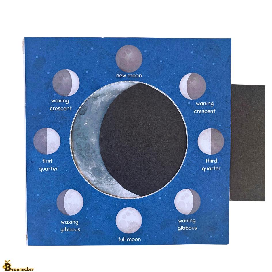Phases of Moon Printable Science or STEM Activity - Etsy