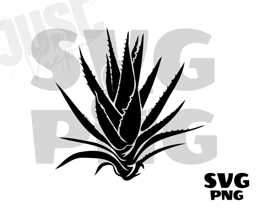 Aloe Vera SVG, Aloe Vera Clipart, Aloe Vera Silhouette, Aloe Vera ...