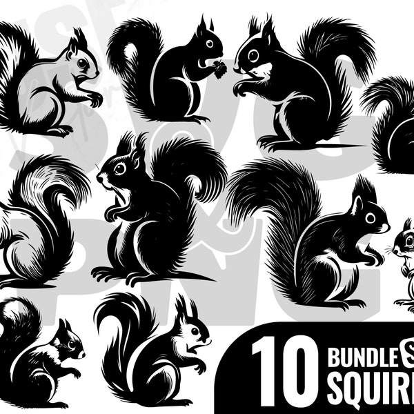 Squirrel Svg - Etsy
