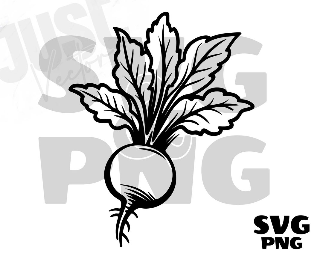 Red Beet Beetroot Svg, Vegetable Svg, Beetroot Svg, Beet Silhouette ...