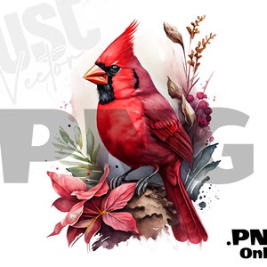 10 Design Watercolor of Red Cardinal Bird, Watercolor Red Cardinal PNG ...