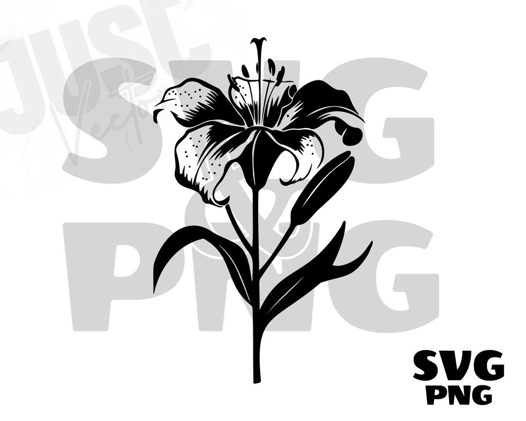 Lily Flower SVG, Lily SVG, Flower Svg, Lily Flower Clipart, Lily ...
