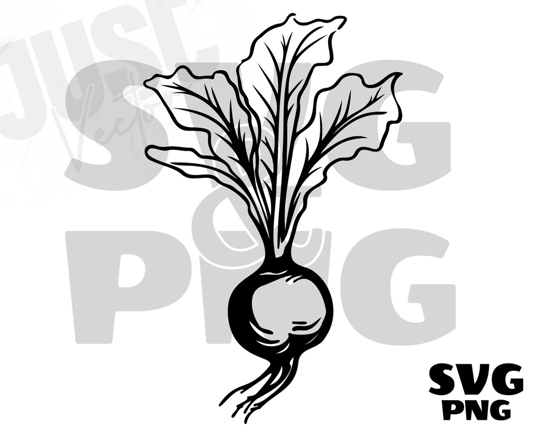 Red Beet Beetroot Svg, Vegetable Svg, Beetroot Svg, Beet Silhouette ...