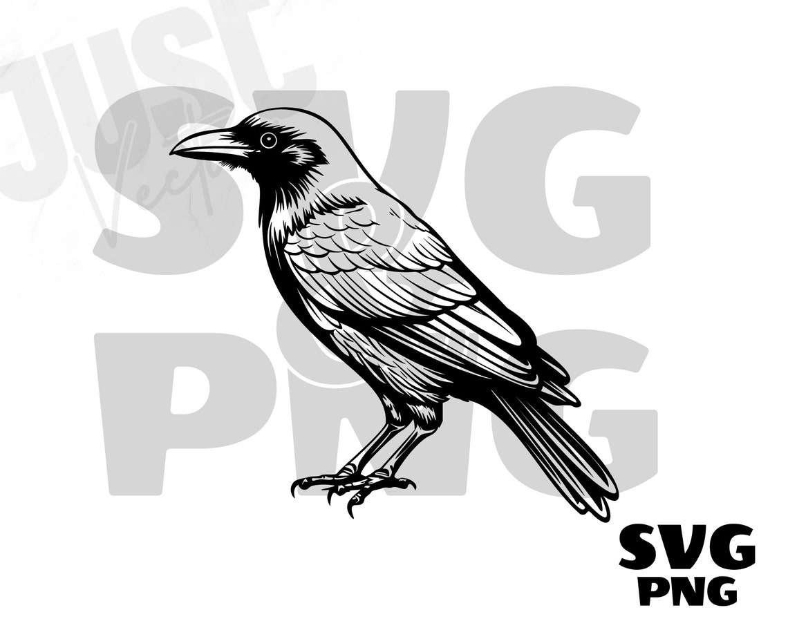 Standing Crow Bird Svg, Crow Bird Svg, Crow SVG, Crow Clipart ...