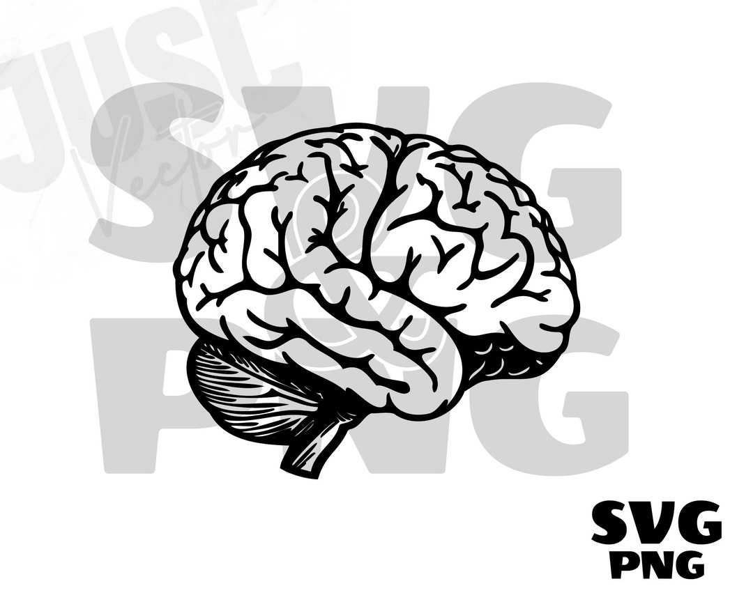 Anatomical Brain Svg, Brain Svg, Human Brain Svg, Brain Silhouette ...