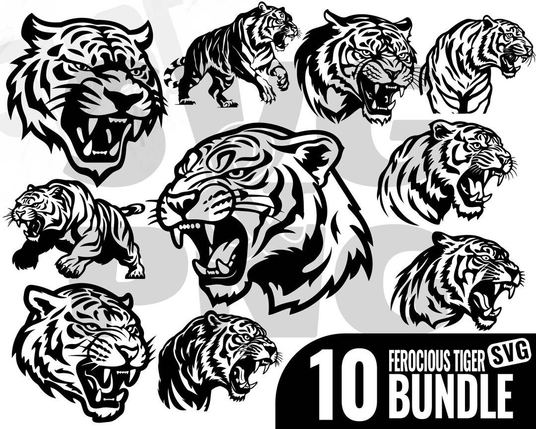 10 Design Ferocious Tiger Bundle Svg, Tiger Svg, Tiger PNG, Angry Tiger ...