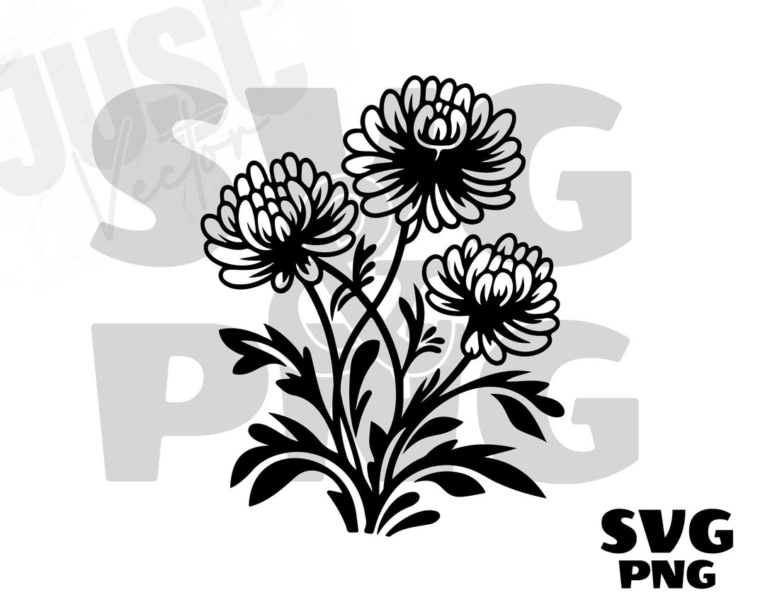Aster SVG, Aster Flowers Svg, Aster Silhouette, Aster Clipart, Flowers ...