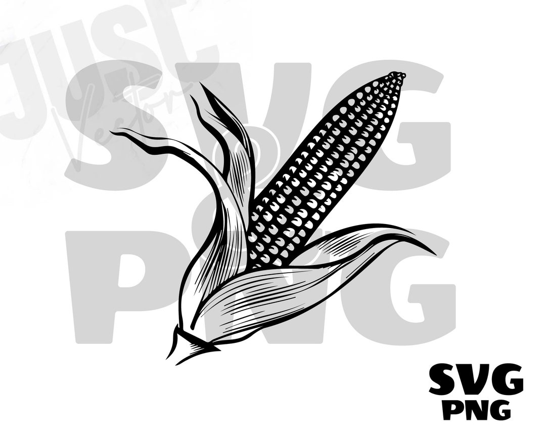 Corn SVG, Corn Silhouette, Maize SVG, Corn Line Art SVG, Corn Clipart ...
