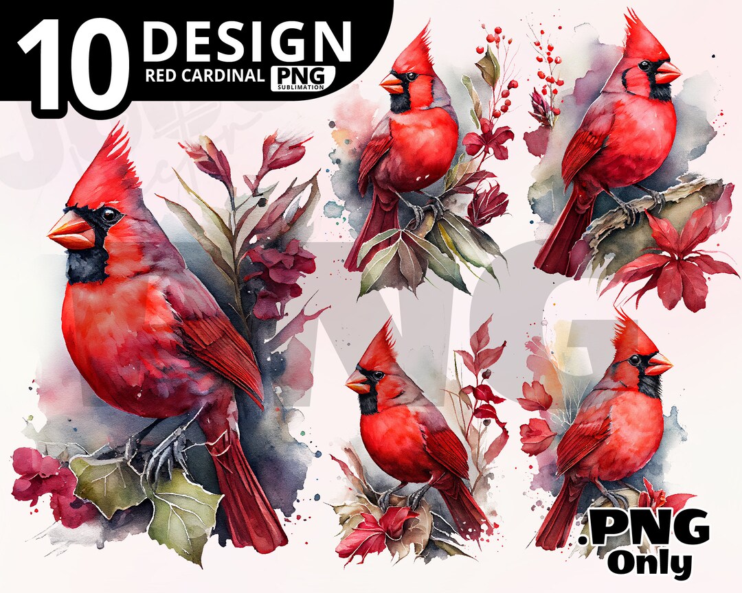 10 Design Watercolor of Red Cardinal Bird, Watercolor Red Cardinal PNG ...