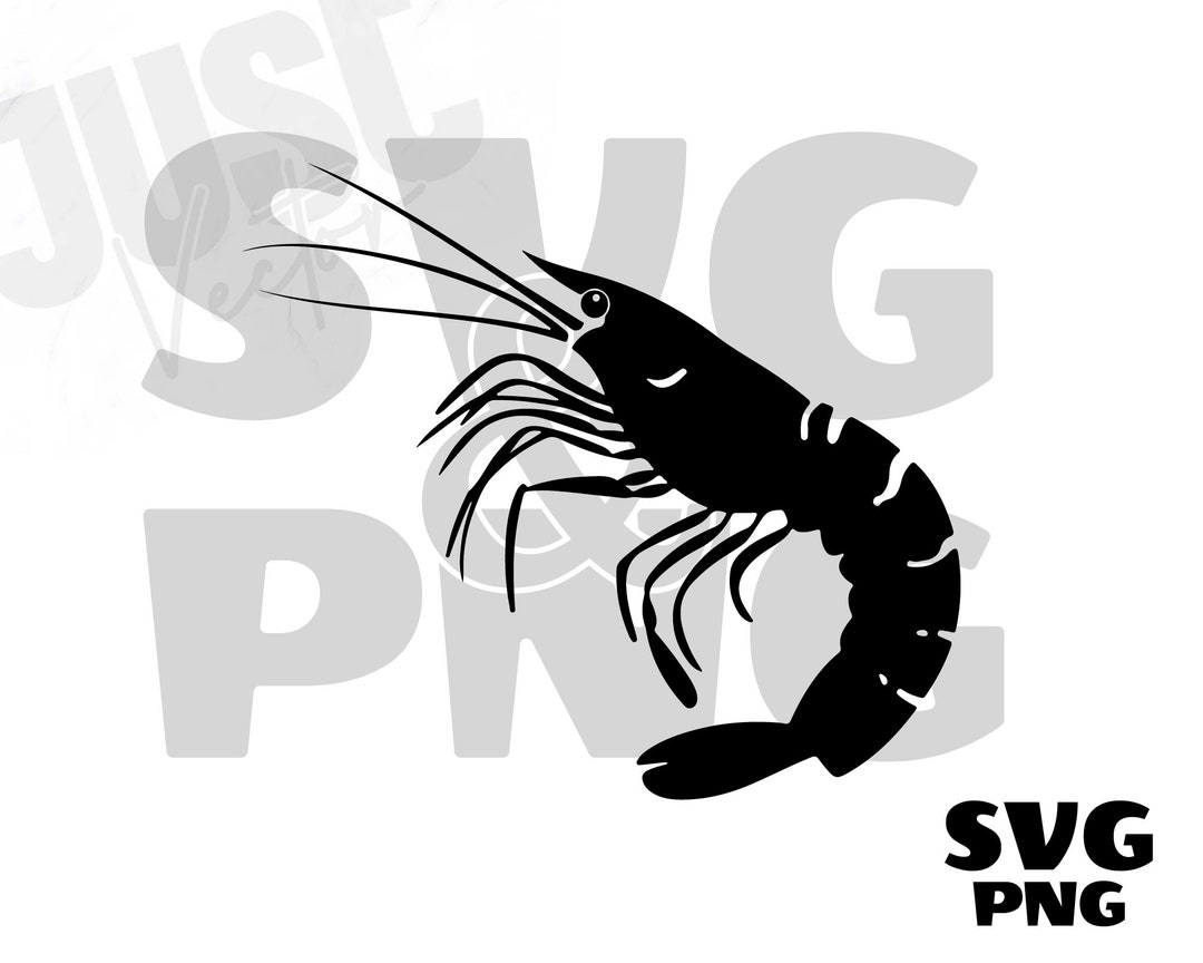 Shrimp Svg, Shrimp Clipart, Sea Animal SVG, Seafood Svg, Shrimp Cricut ...