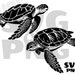 Turtle Svg, Sea Turtle Svg, Bundle SVG, Simple Turtle Svg, Sea Turtle ...