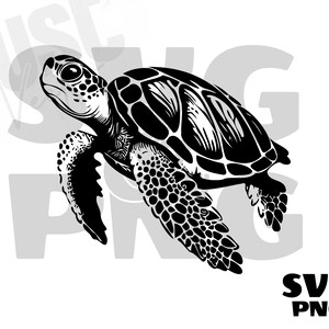 Turtle Svg, Sea Turtle Svg, Bundle SVG, Simple Turtle Svg, Sea Turtle ...